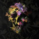 Collage Skull Illustrations by Ali Gulec, a Fresh Approach on the Skull ...