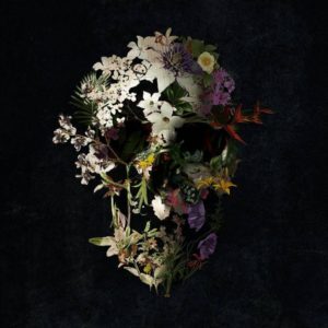 Collage Skull Illustrations by Ali Gulec, a Fresh Approach on the Skull ...